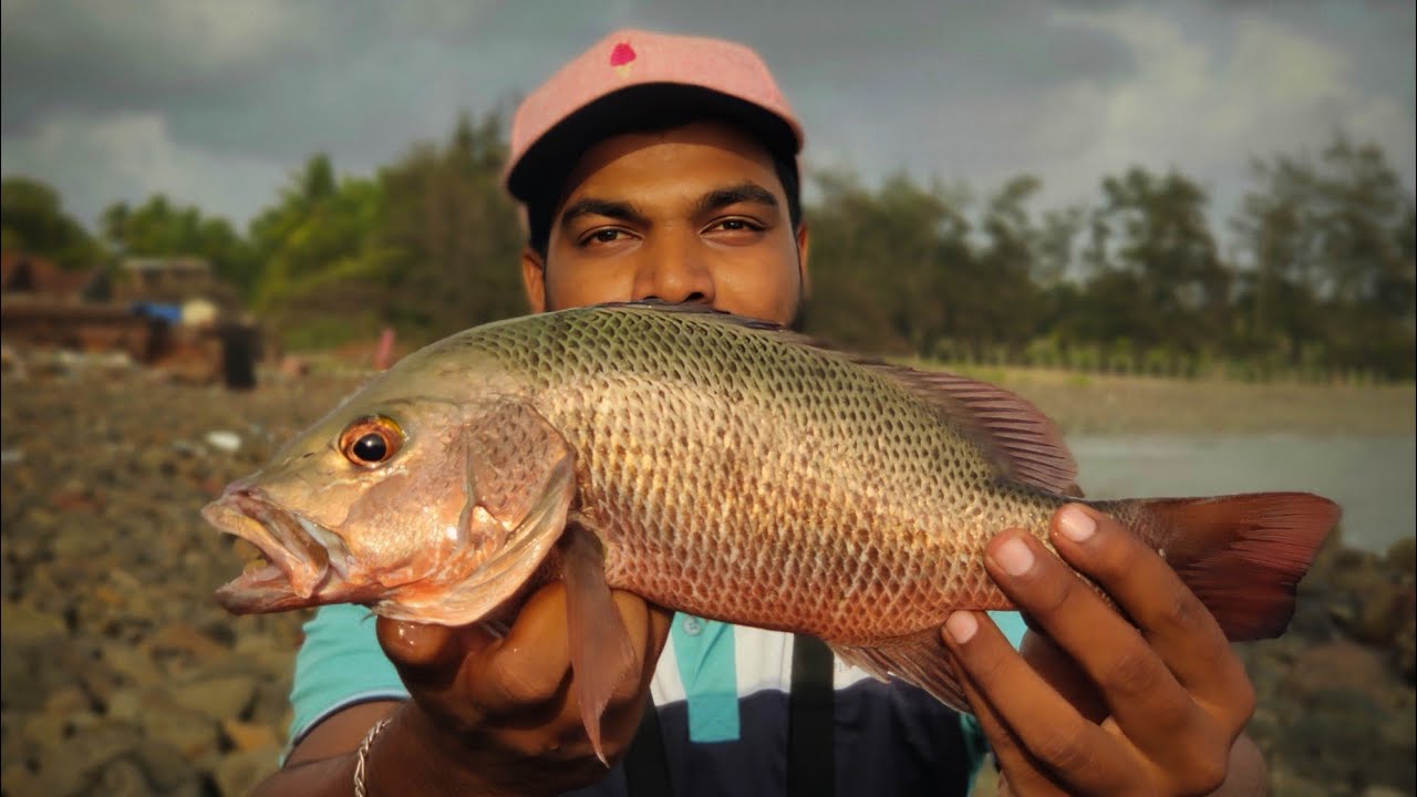 समुद्रावर पकडले तांबोशी मासे | कोकणातील मासेमारी | catching red snapper ...