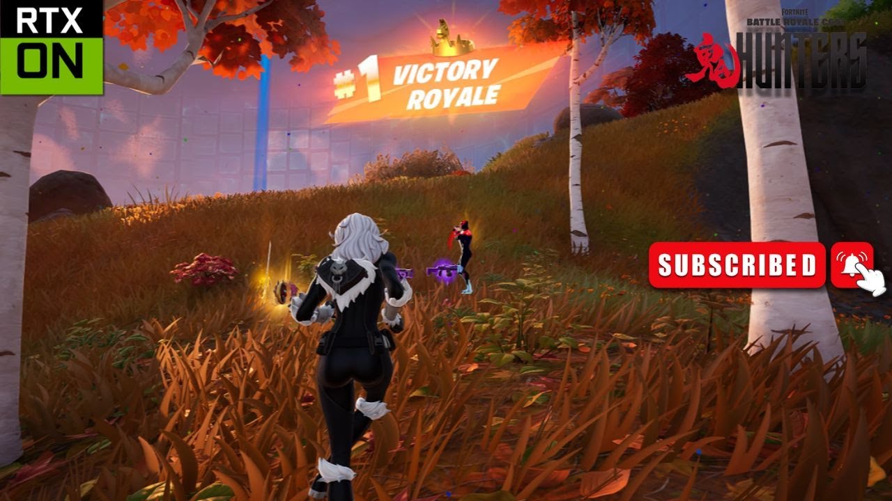 Fortnite Black Cat Skin Gameplay 1440P | RTX 4080 Super | Chapter 6 ...