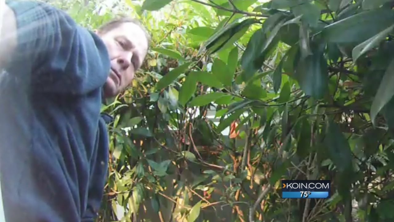 Police: Help us identify the ‘Portland Pooper’ - YouTube