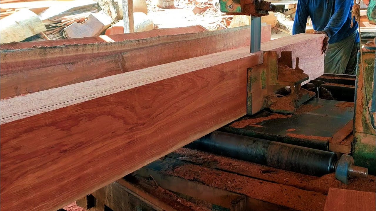Cara pengolahan papan dari kayu Meranti merah super besar#woodworking ...