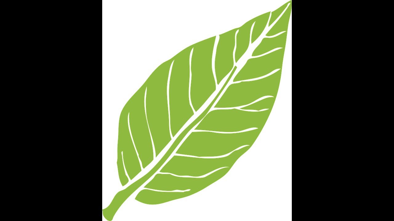 FoN - F02 A01 - Hahn Solo und Chewbrokoli - YouTube