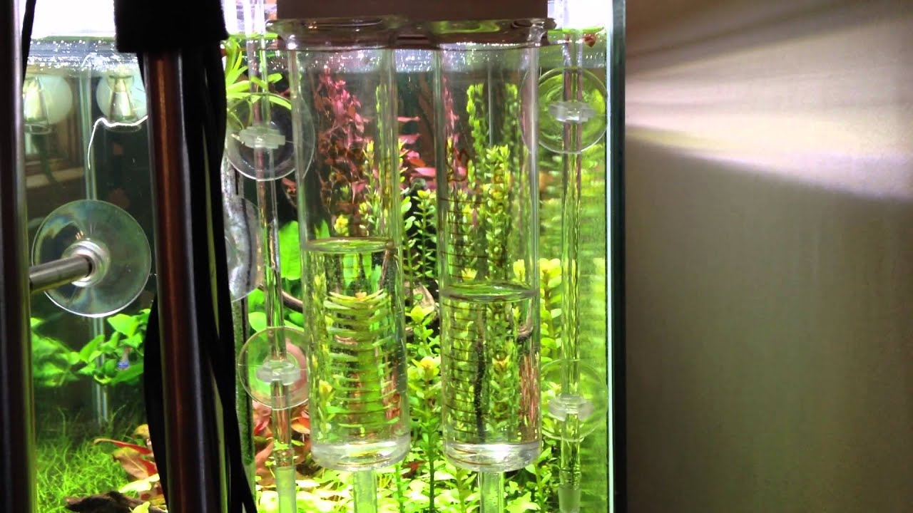 Arduino Powered Auto-dosing Pump 2 - YouTube