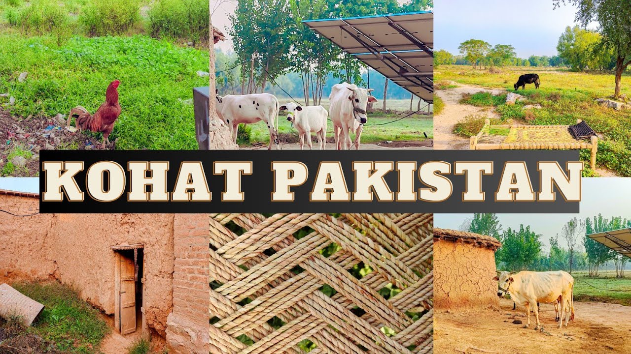 Beautiful Village Life of Kohat Kpk Pakistan | Afridi Vlogs | Best ...