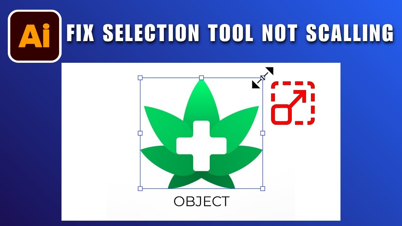 Selection Tool Not Working Not Scaling in Illustrator 2026 SOLVED - YouTube