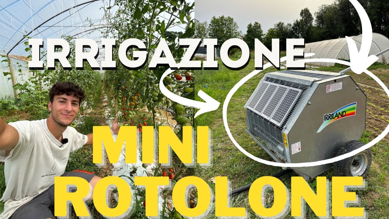 In CAMPO con il MIO NUOVO (mini) ROTOLONE semovente - YouTube