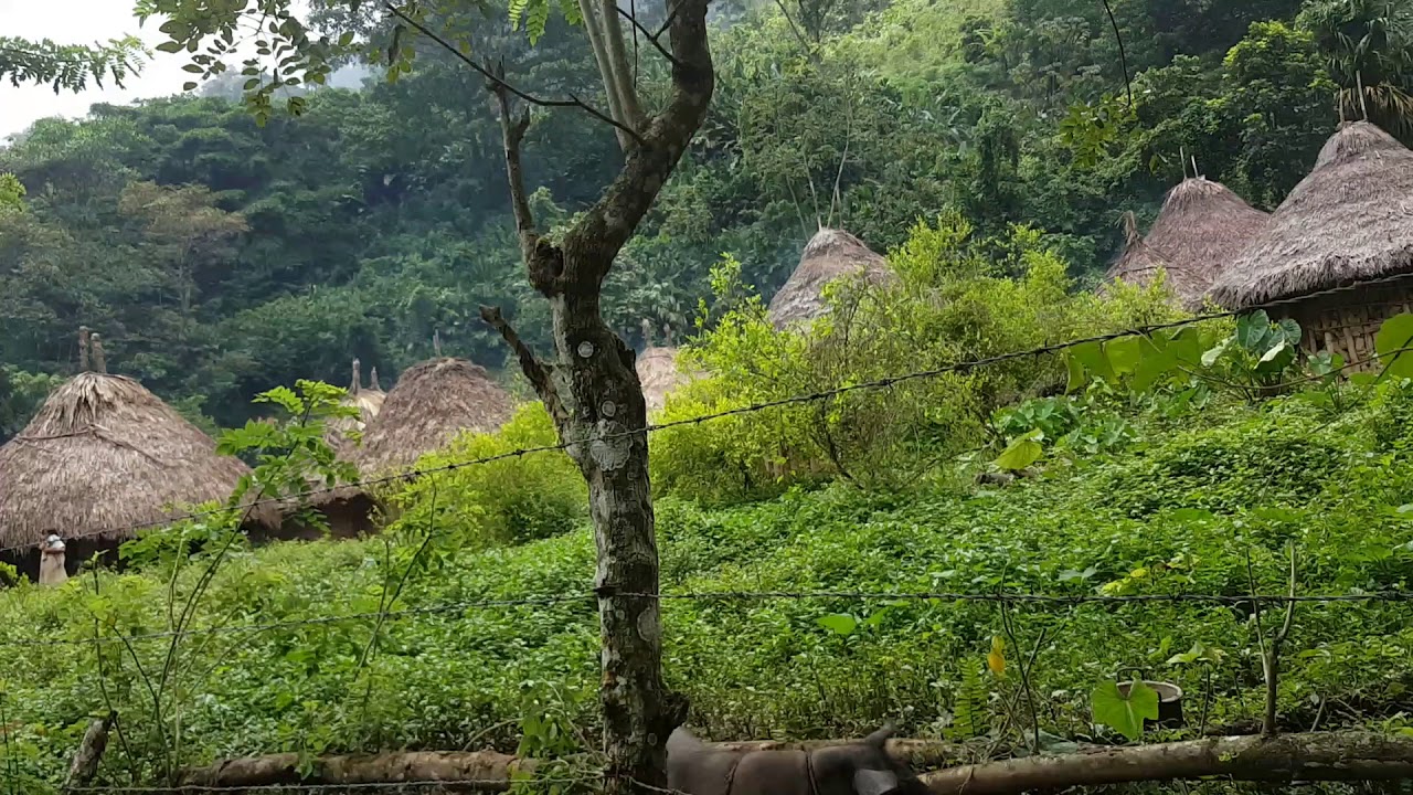Camino a la ciudad pérdida, indígenas Wiwa - Colombia - YouTube