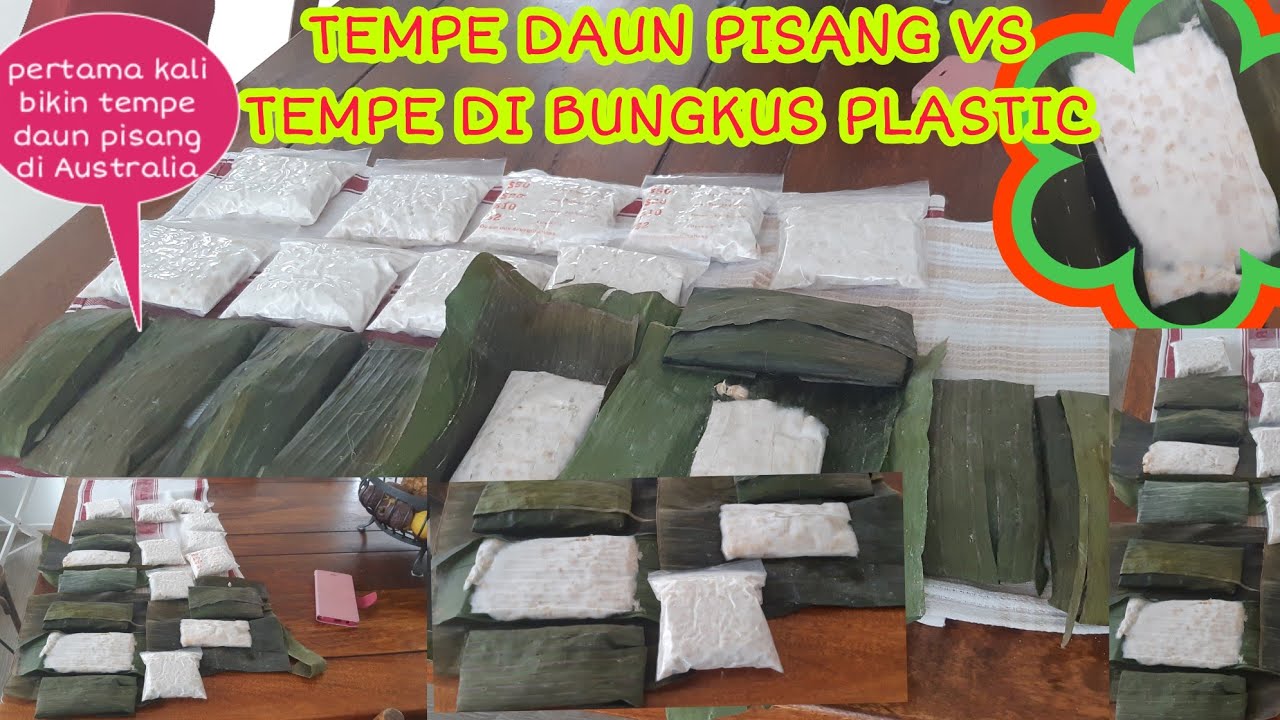 CARA MEMBUAT TEMPE DI BUNGKUS DAUN PISANG FROZEN VS TEMPE DI BUNGKUS ...