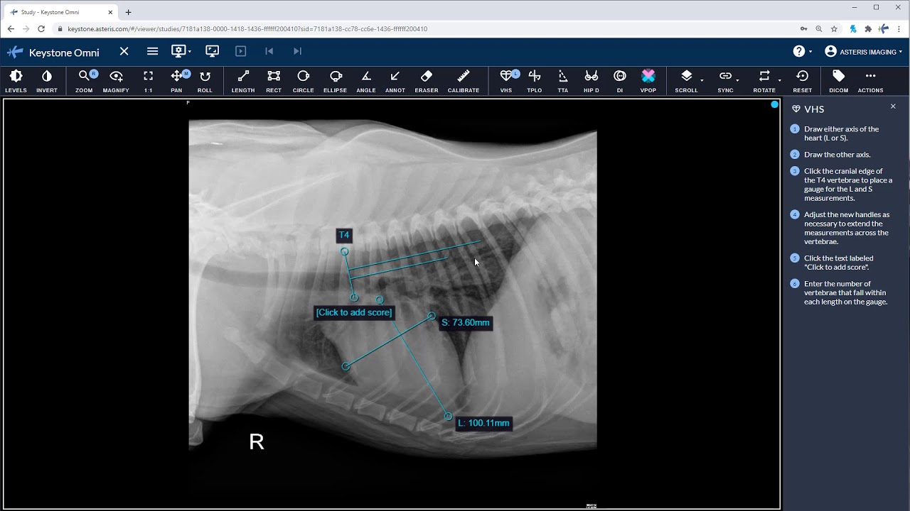 VHS Video | Veterinary Image Management Software | Keystone Omni - YouTube