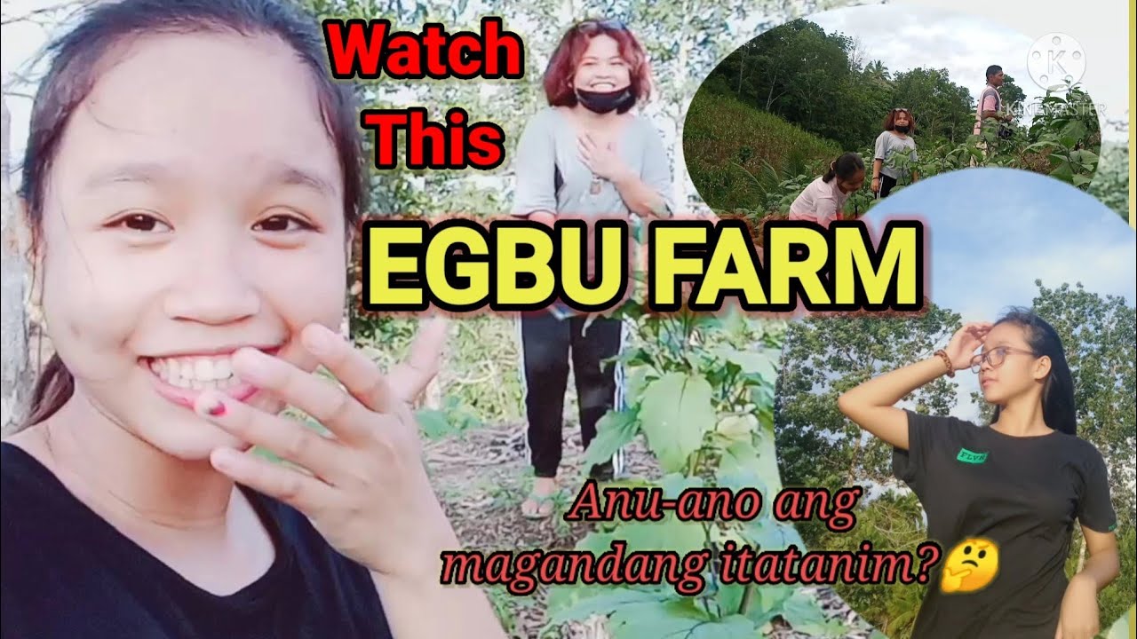 HOW DOES EGBU DONATE AND SUPPORT THE FARMERS - YouTube