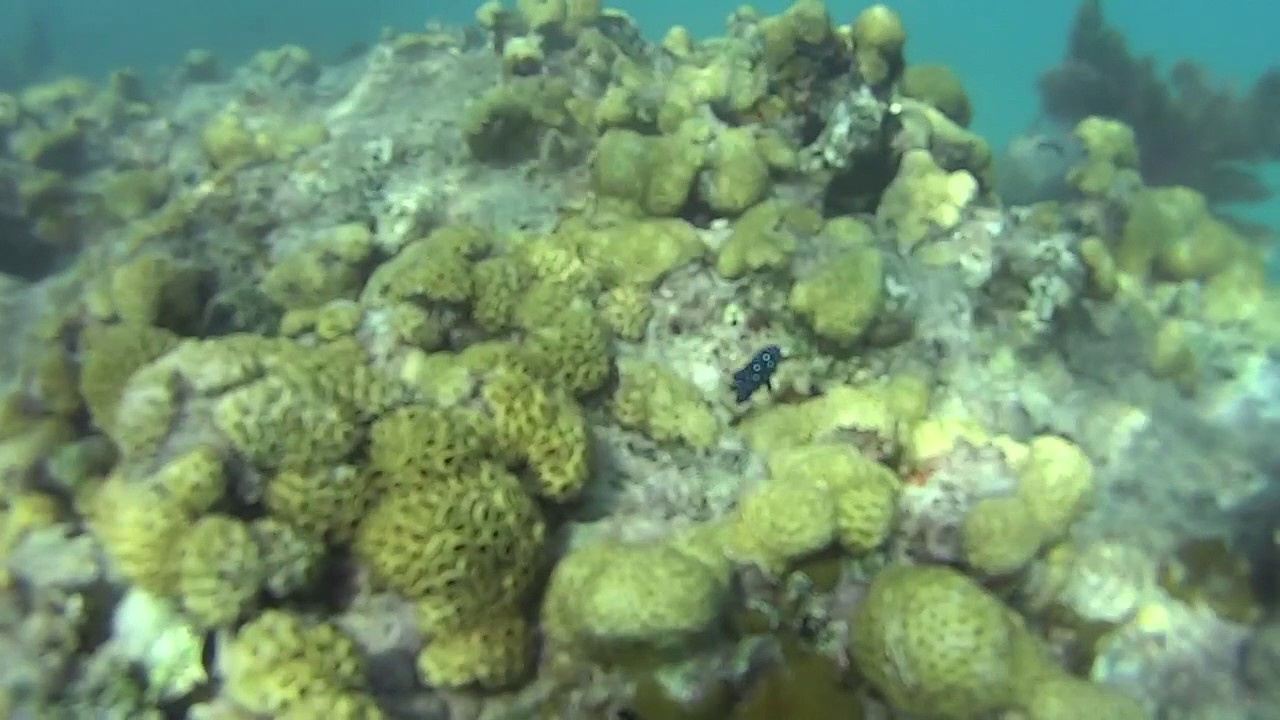 Journey - Sandcastle Key Lighthouse Reef - Key West - YouTube