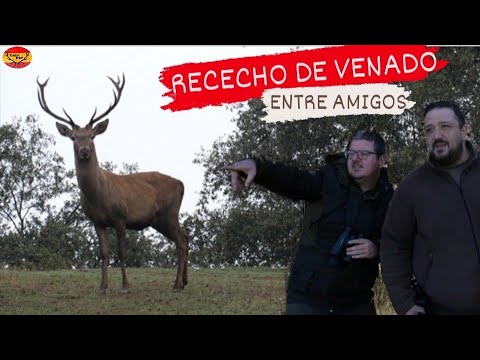 🎯🦌RECECHO DE VENADO ENTRE AMIGOS🌲 - YouTube