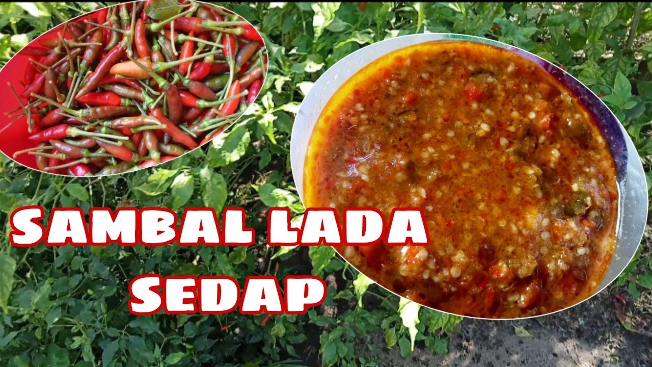 Sambal Lada||Sedap tahan lama - YouTube