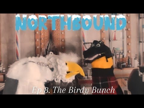 Northbound: Ep. 8 the birdy bunch - YouTube