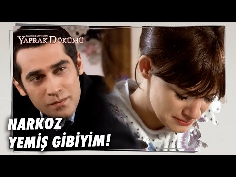 Şevket, Sedef'le Konuşmak İstiyor! - Yaprak Dökümü 93. Bölüm