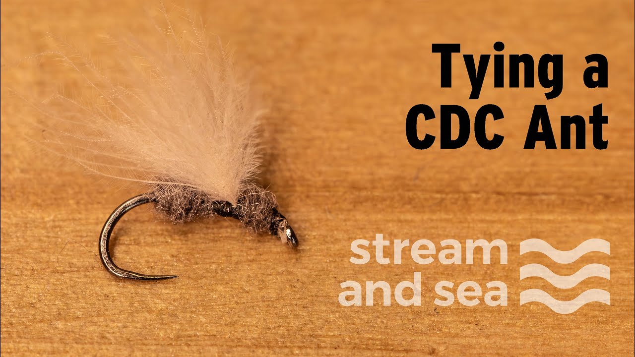 How to tie a CDC Ant - YouTube