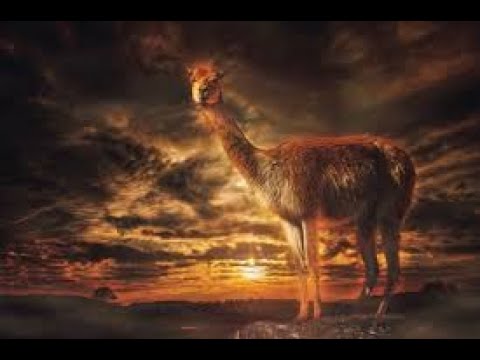 DubstepSbuka - Arabic (Remix)