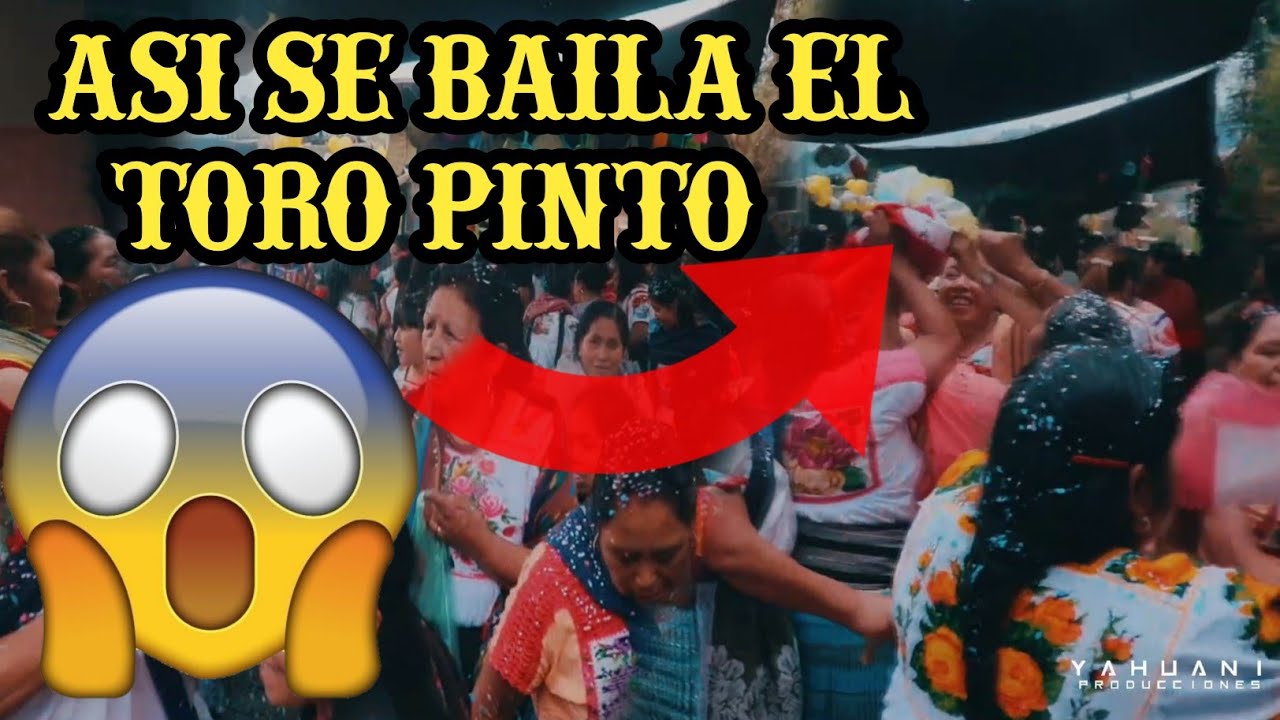BAILE DEL TORO PINTO #COMACHUEN #cinematicvideo - YouTube