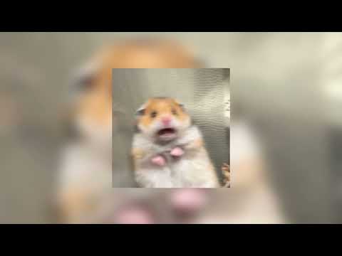 Demi Lovato - Heart attack (Sped Up)