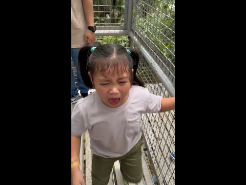 MATAPANG SA DINOSAUR