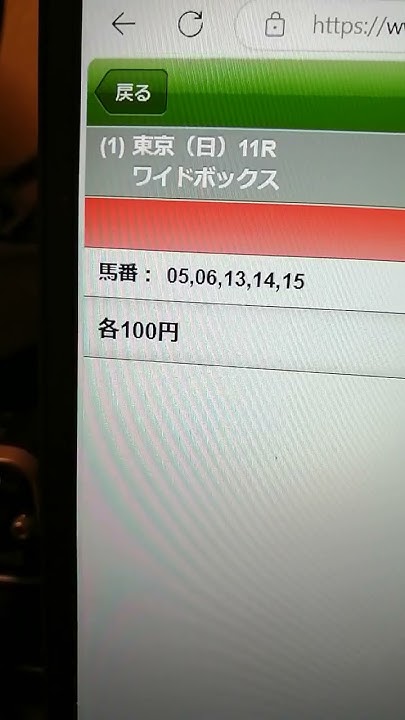 東京11RワイドBOX万馬券買い目 - YouTube