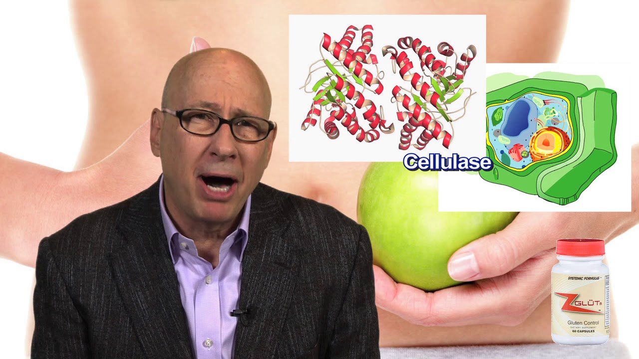 ZGLUTN - Digestive Enzymes Gluten Control by Systemic Formulas - YouTube