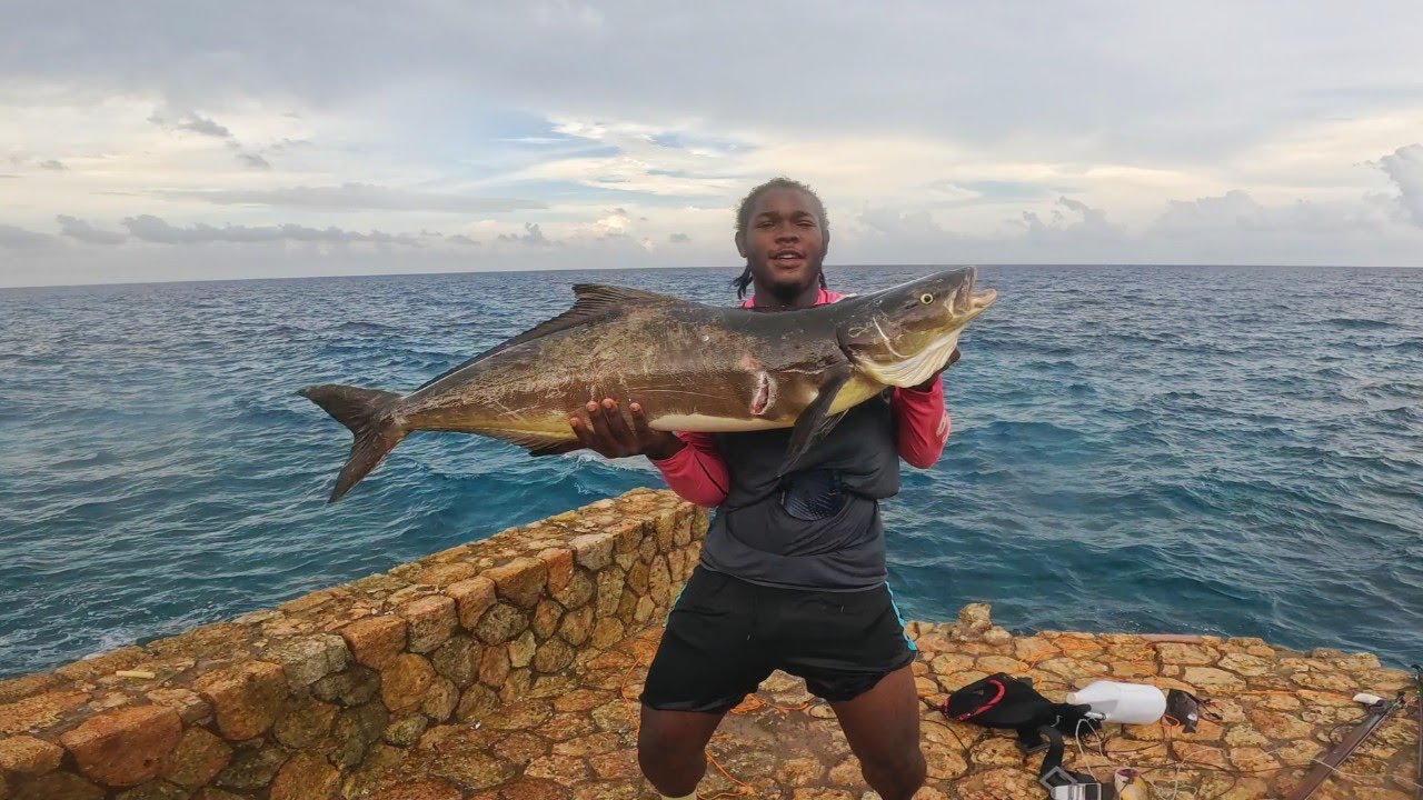 Massive Cobia Speared - My Biggest Catch Ever!! - YouTube