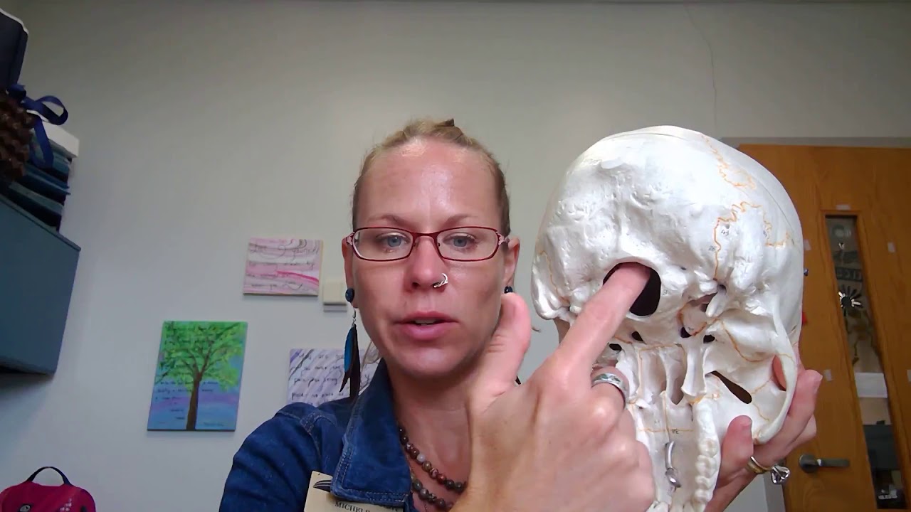 Skull Quiz Question - YouTube