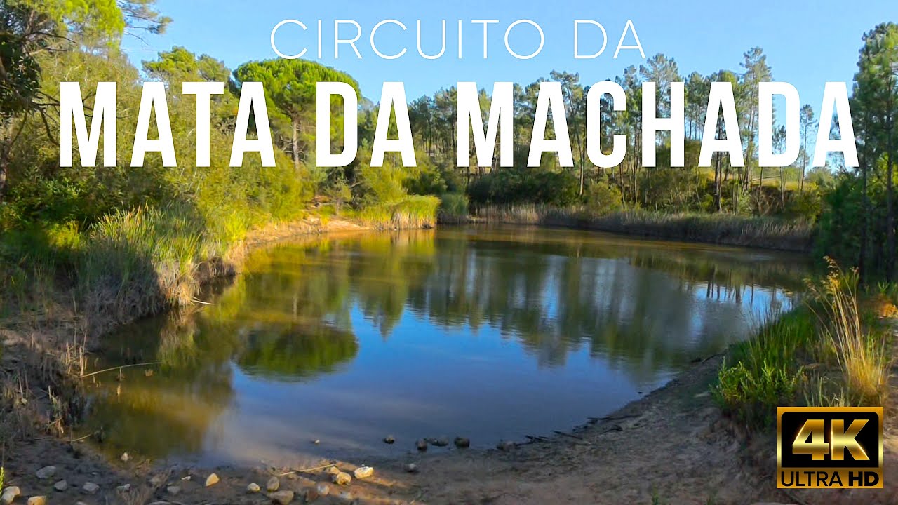 [4K Vídeo] Circuito da Mata da Machada - Coina/Palhais, Barreiro - YouTube