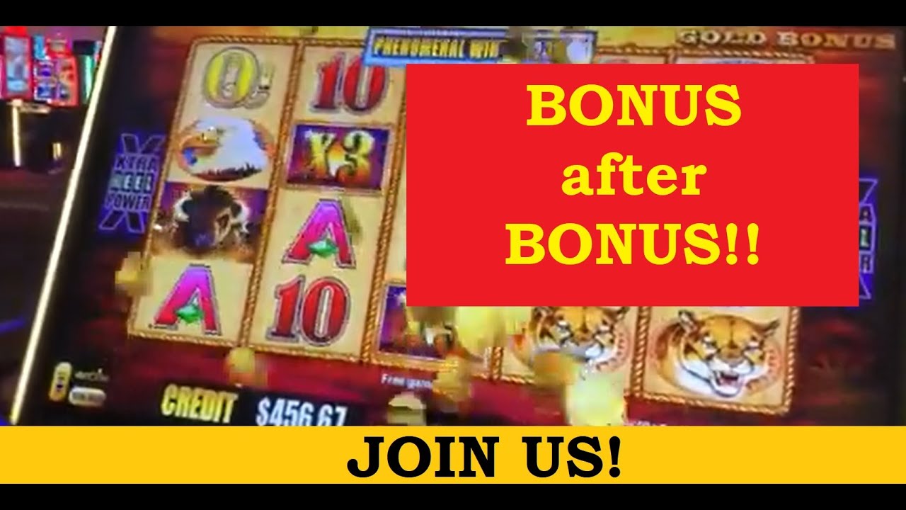 🍀10+🍀BONUS ROUNDS!! on Buffalo Gold slot machine & subscriber Mike ...