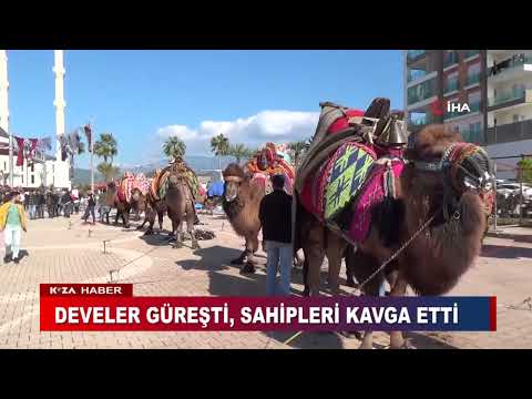 DEVELER GÜREŞTİ SAHİPLERİ KAVGA ETTİ