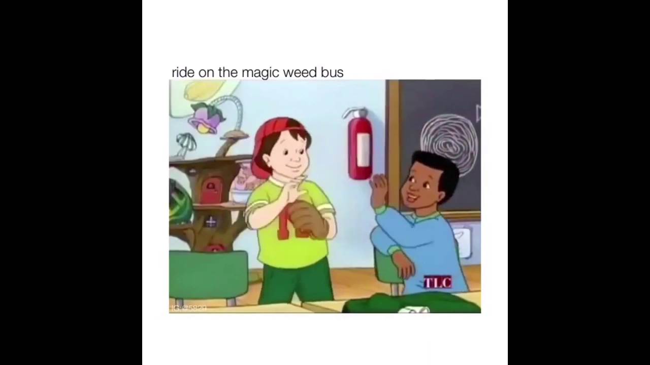 Magic weed bus 😂️😂️💀️ - YouTube