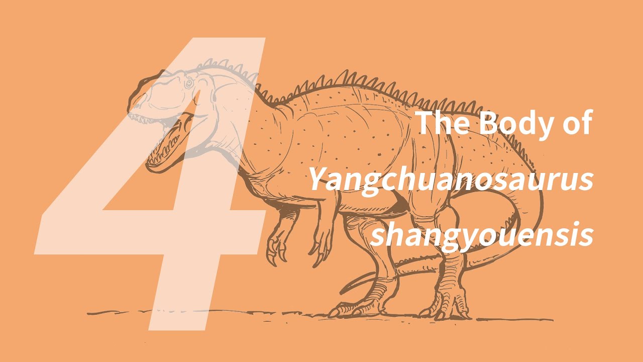 Dayong the Yangchuanosaurus shangyouensis 4: Body | Learn to Draw ...