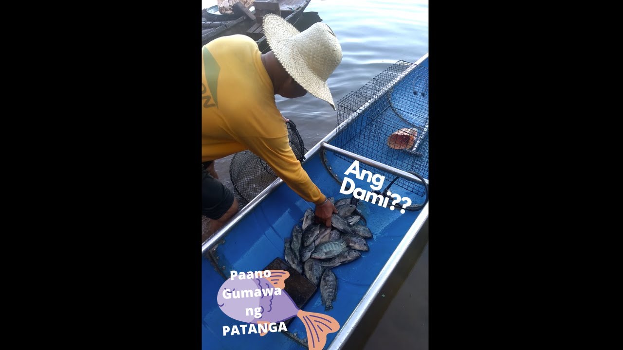 FISH TRAP (PATANGA) !! MABISANG PANG HULI NANG TILAPIA.. - YouTube