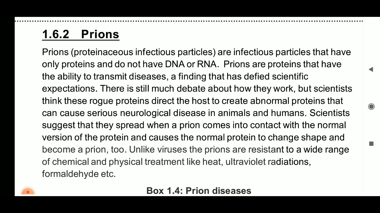 Structure and function of Prions - YouTube