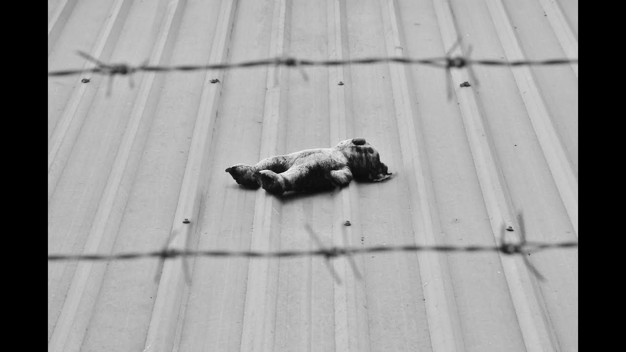 Literacy Behind Bars: Addressing Incarcerated Youth's Literacy Needs ...