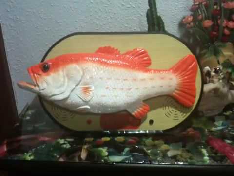 Singing Fish - YouTube