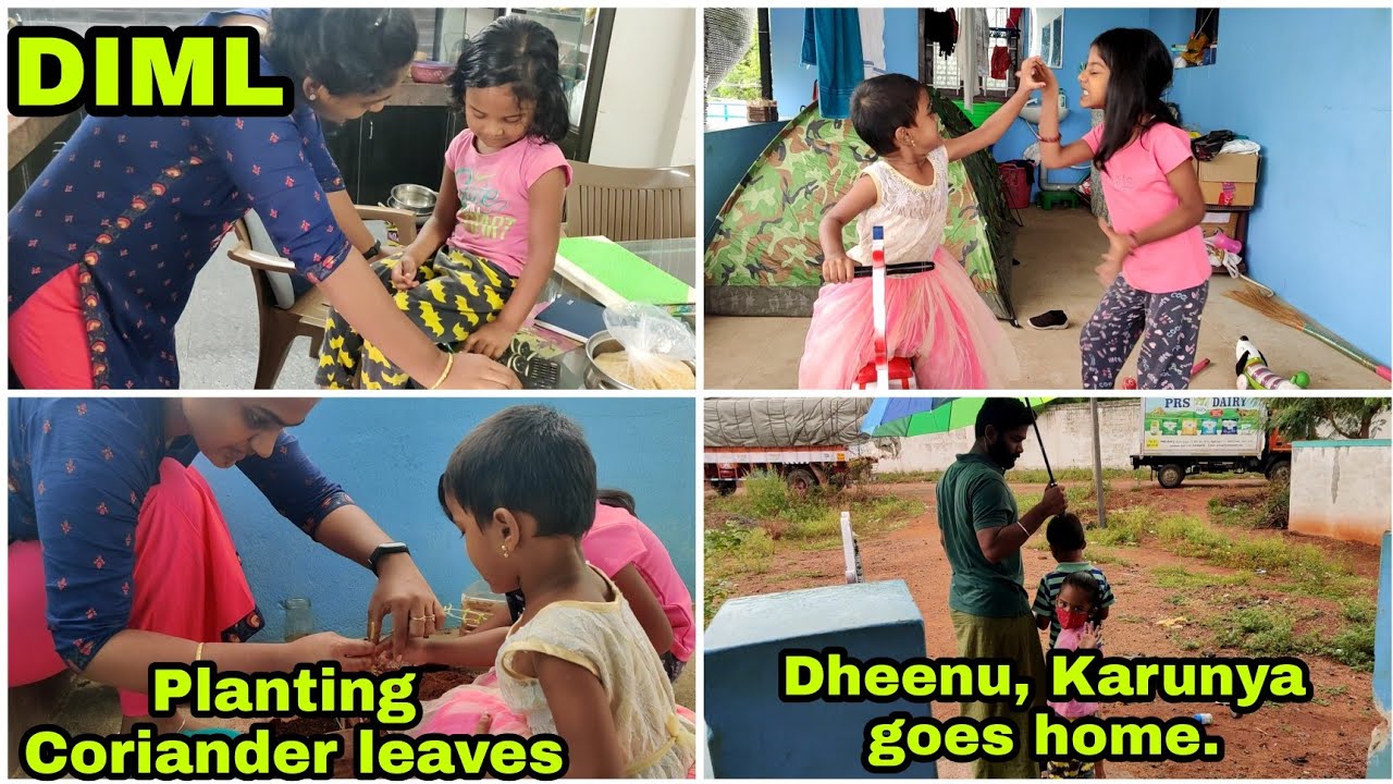 DIML | Dheenu & Karunya goes home | Planting coriander leaves | A Day ...