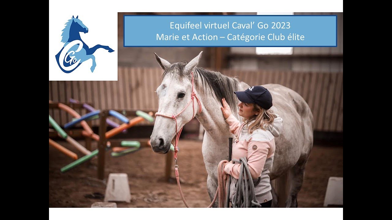 Equifeel Virtuel Caval Go - Club élite manche 2 - Action - YouTube