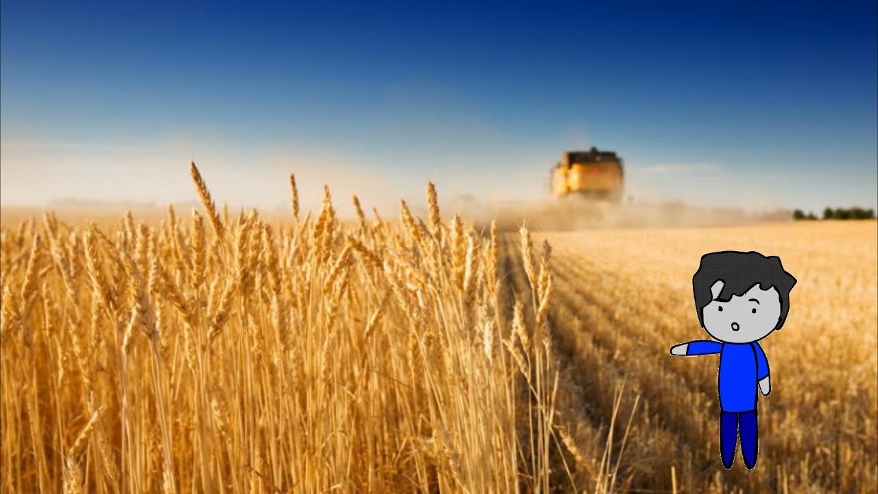 How do you corner a market? What are the benefits of cornering a market ...