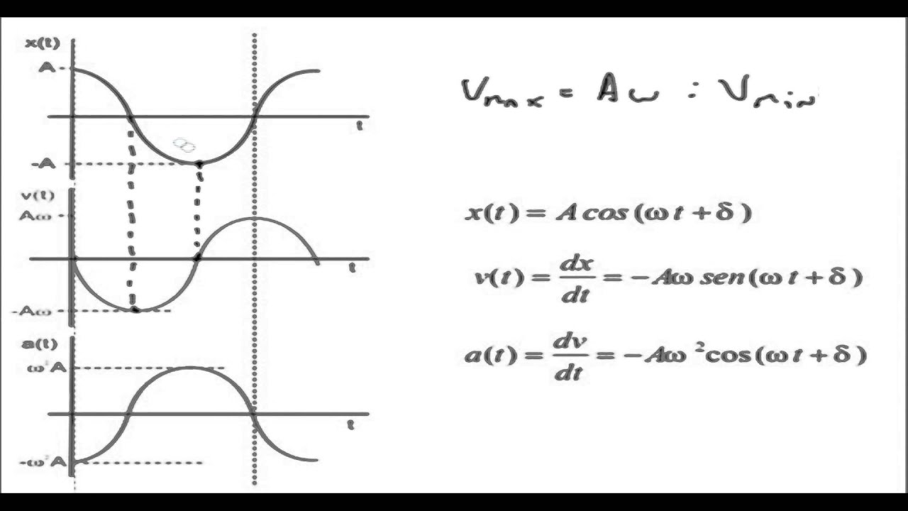 Fisica I - Posición, velocidad y aceleración - YouTube