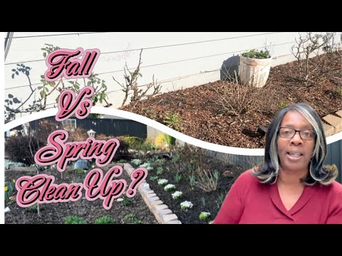 Seasonal Showdown: 6 Pros and Cons of Fall vs. Spring Garden Cleanup to ...