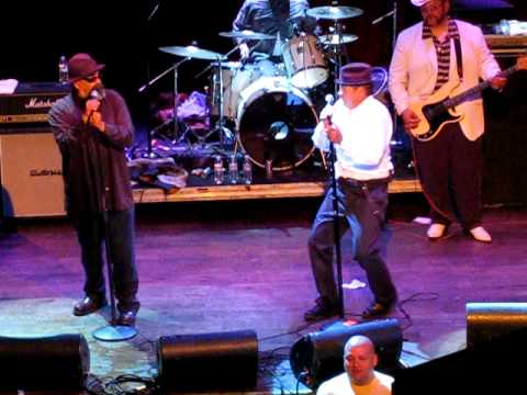 manic hispanic - mexican society - YouTube