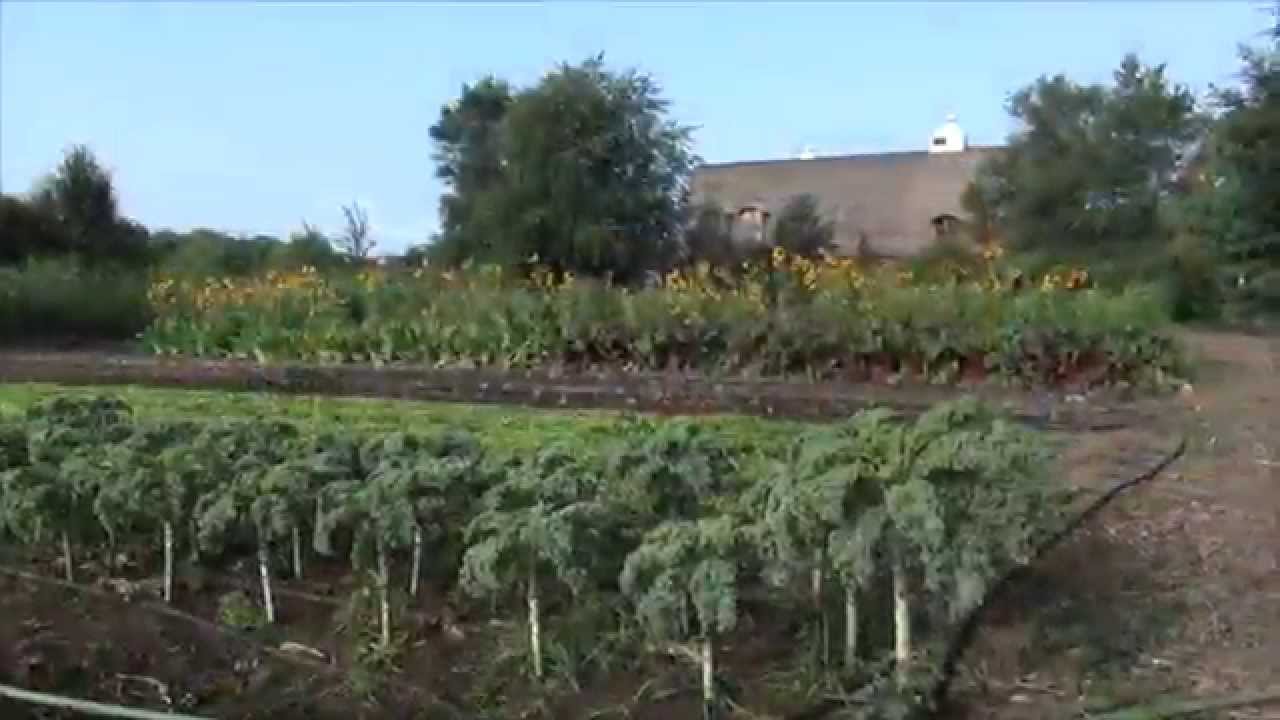 PROMOTIONAL film Michael Fields Agricultural Institute, program for ...
