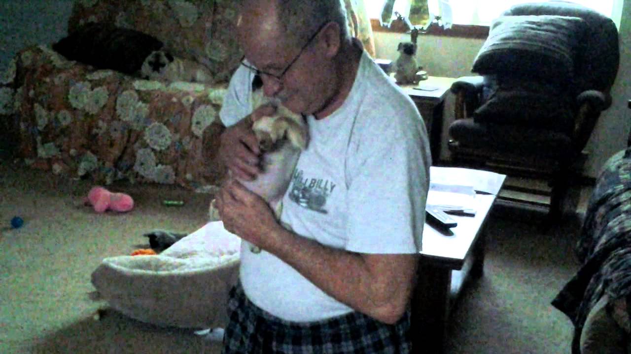 Mabel and Dad - YouTube