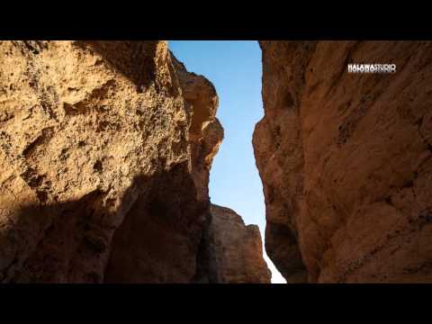 Surah Nuh by Sheikh Ahmed Halawa