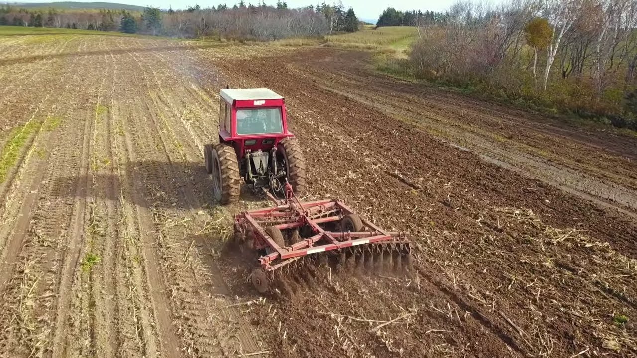 Massey Ferguson 1105 Disking Corn Stalks - YouTube