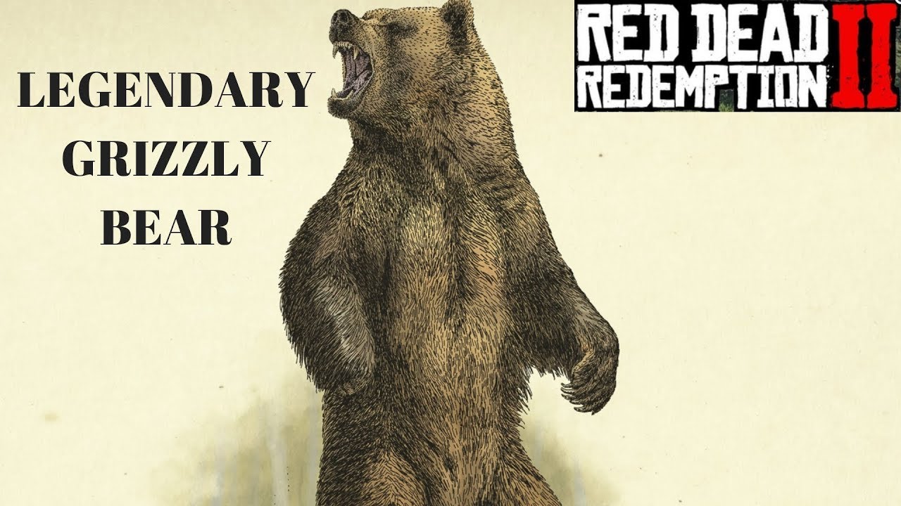 RED DEAD REDEMPTION 2 LEGENDARY GRIZZLY BEAR LOCATION , TRACKING AND ...
