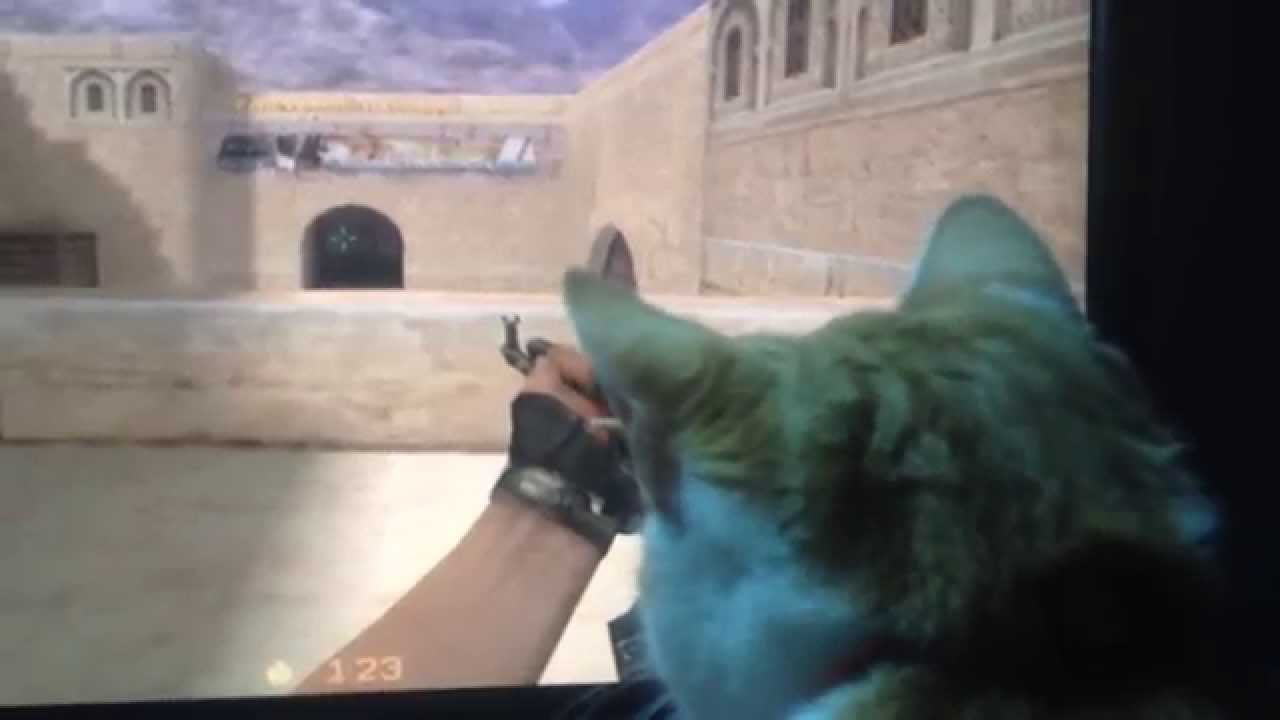 Kot Stefan gra w Cs część 2 | Stefan Cat playing counter-strike part 2 ...