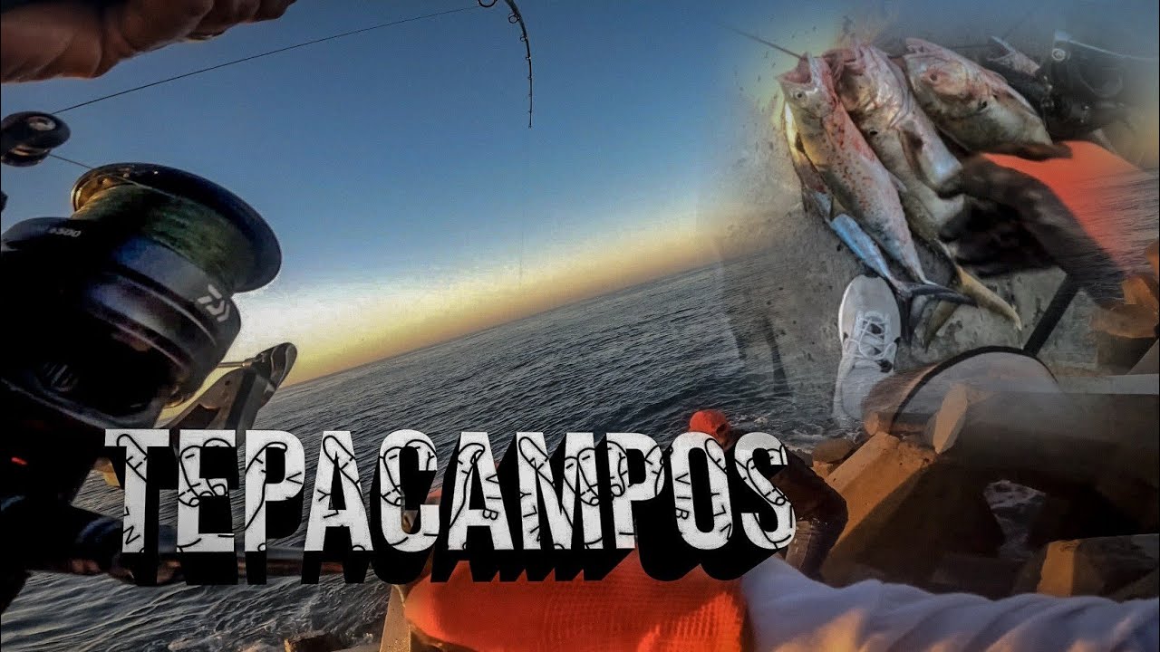 QUE BUENA PESCA! salieron sierras, barrilete y furel. - YouTube