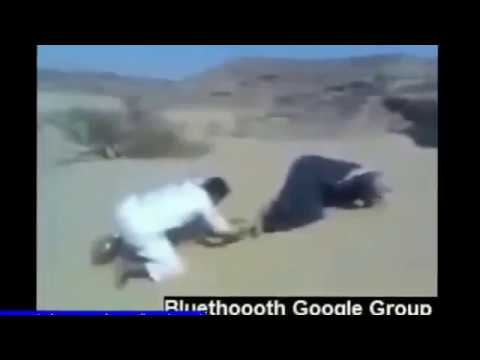 Funny Arabic Video Clip for WhatsApp status video